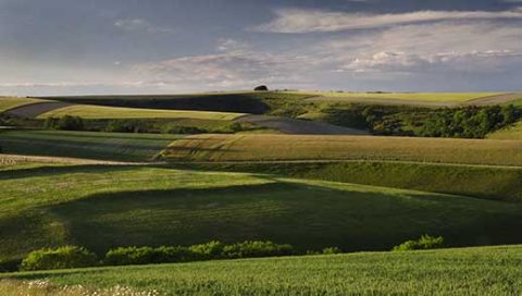 Learn to use Lidar data – Chase & Chalke Landscape Partnership